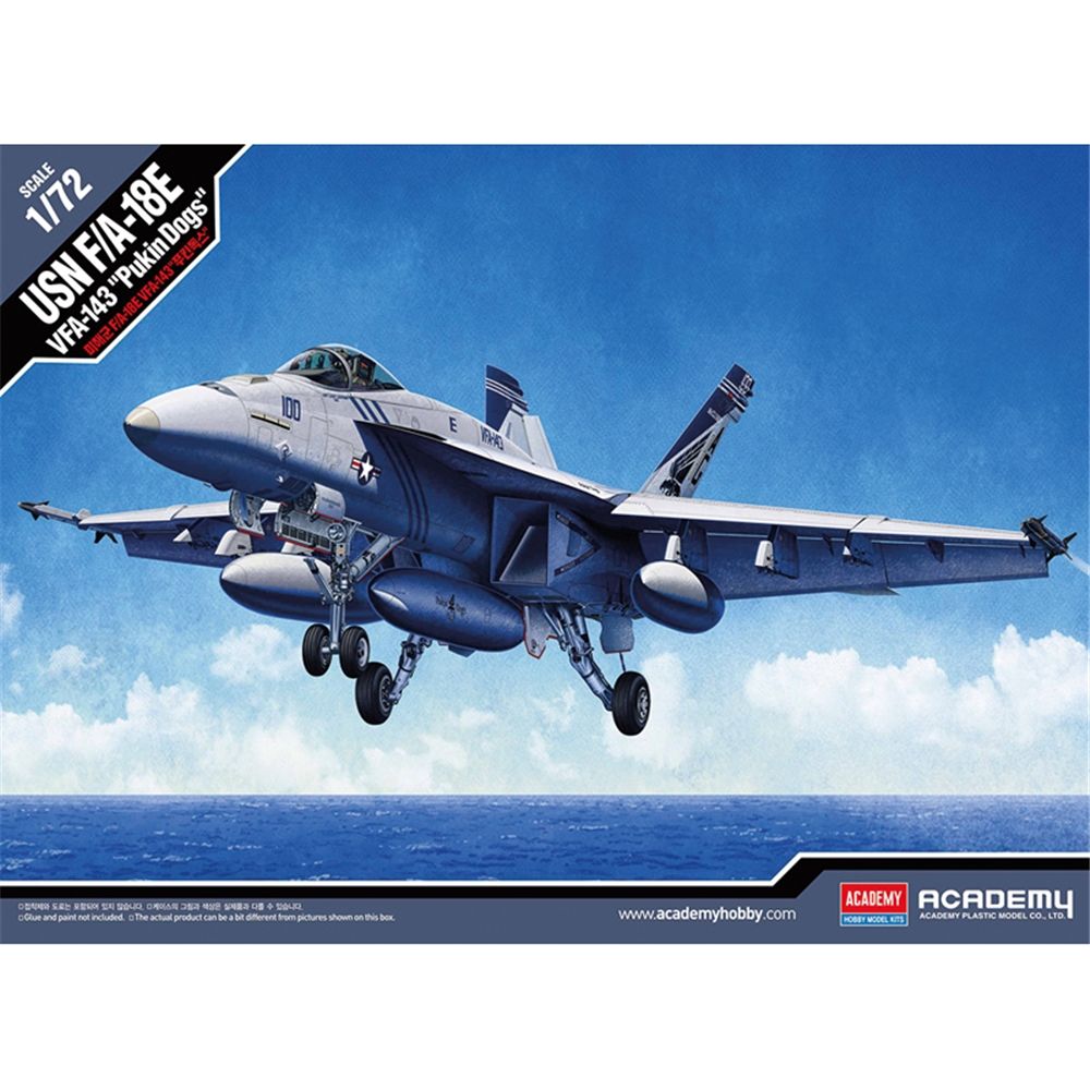 Bachmann Europe plc - F/A-18E USN VFA-143 'Pukin' Dogs'