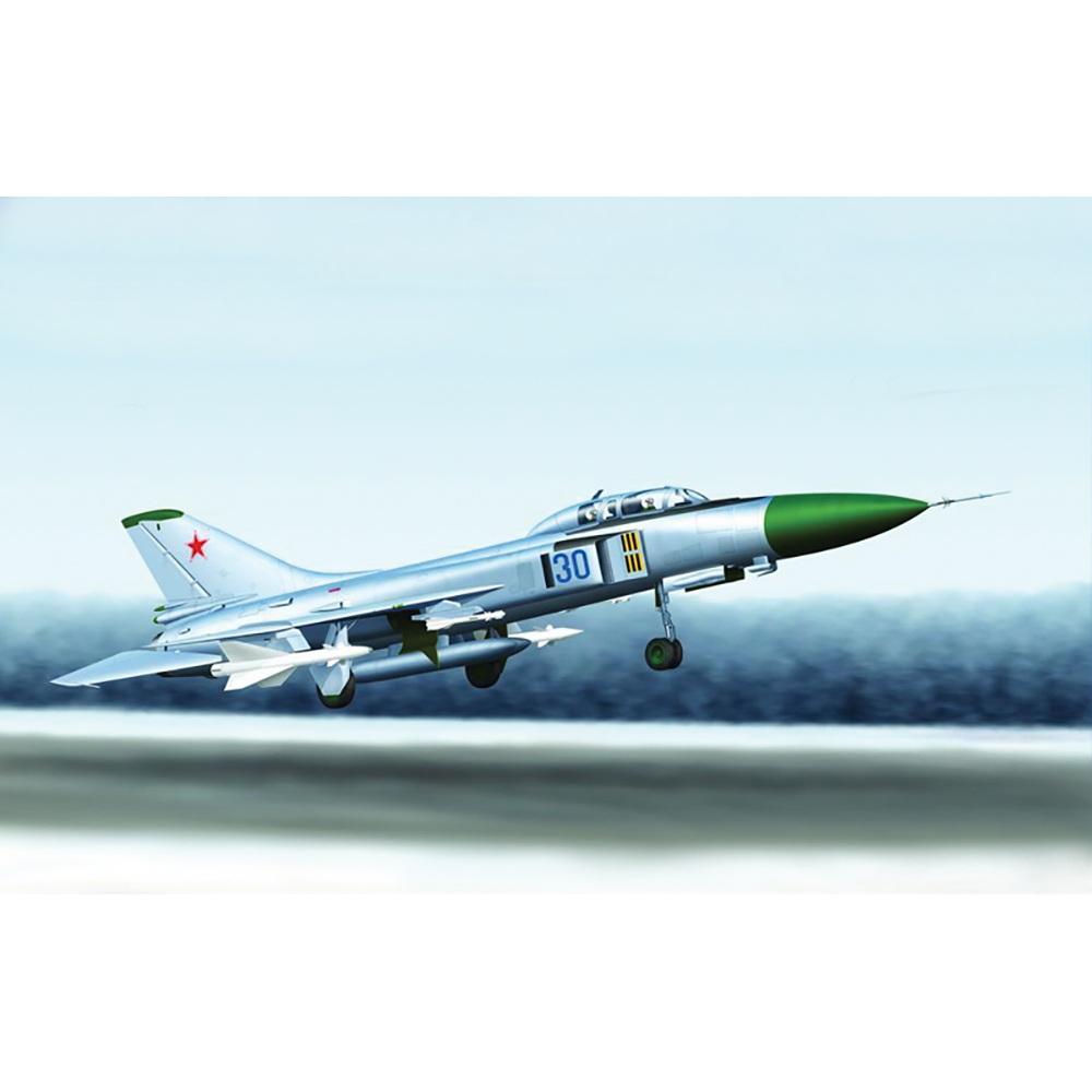 Bachmann Europe plc - Soviet Air Force Sukhoi Su-15TM Flagon G ...